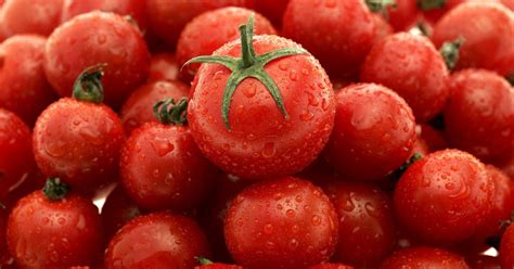 토마토 Vs 방울토마토 영양소 더 많은 건