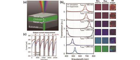 Self Powered Humidity Sensor Using Chitosan Based Plasmonic Mim Filters Download Scientific