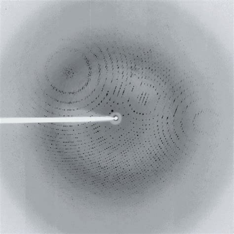 X Ray Diffraction Image Of The Native Nylc A Crystal Download Scientific Diagram