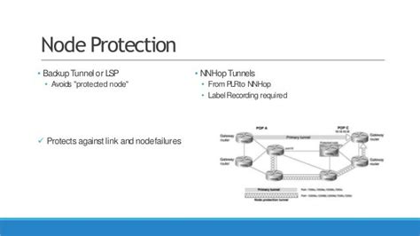 traffic engineering fault tolerance using mpls routing optical fibe…