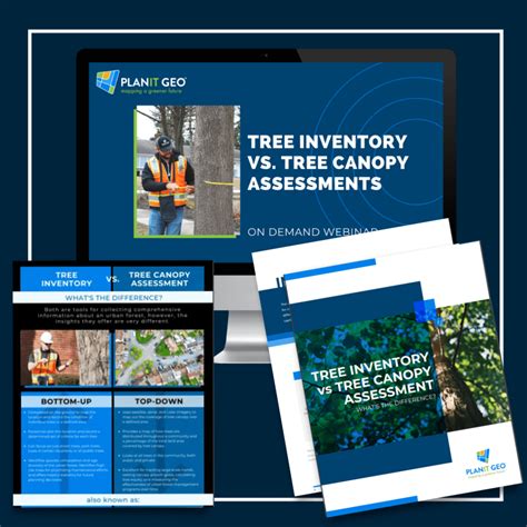 Tree Inventory Planning For Actionable Data PlanIT Geo