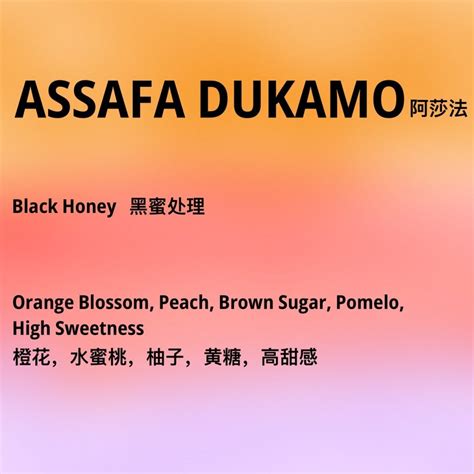 Assafa Dukamo Sld Black Honey Wells Cafe