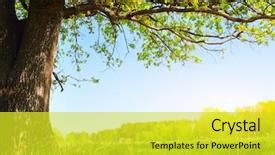 Powerpoint Background Trees