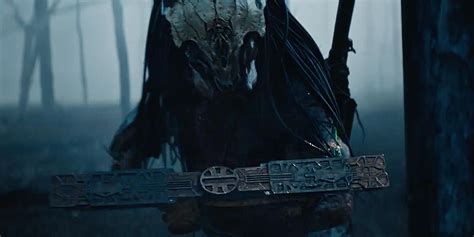 Predators Explained Species Abilities And The Hunt