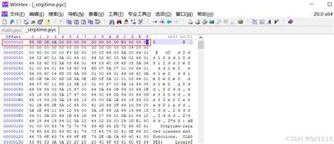 Python逆向 逆向pyinstaller打包的exe程序反编译获取源代码pyinstaller 逆向 Csdn博客