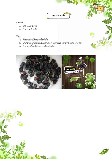 การแปรรูปหม่อน Narongrit6109 หน้าหนังสือ 15 พลิก Pdf ออนไลน์