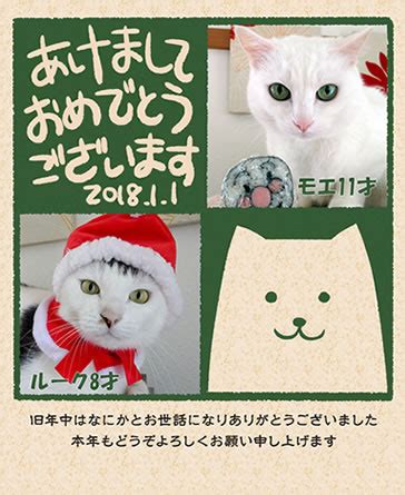だって姫ネコ日記 2018年のお正月