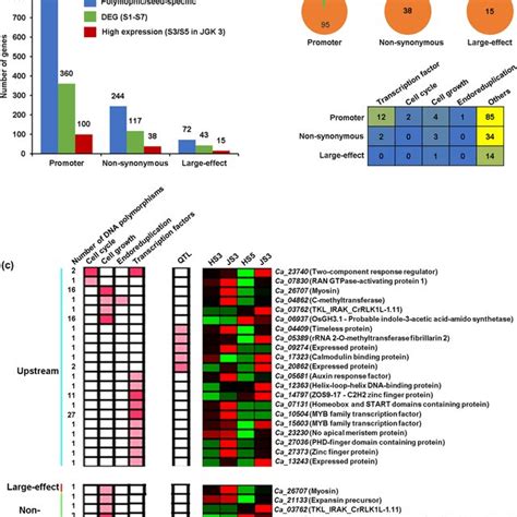 Annotation Of Dna Polymorphisms A Percentage Distribution Of