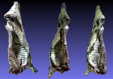 Using The 3d Imaging Technology To Estimate Lean Meat Yield