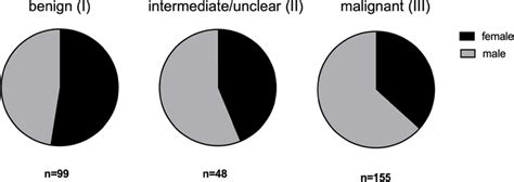 Sex Distribution In The Different Cohorts According To The Mri Reported
