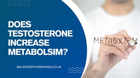 What Are Normal Testosterone Levels In Women Balance My Hormones