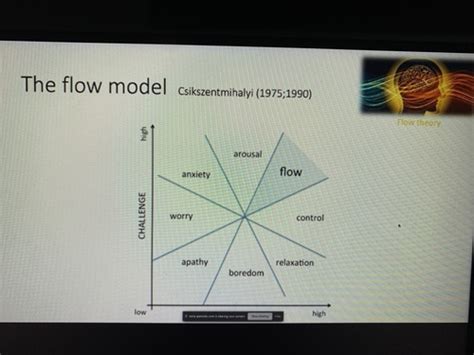 Flow Flashcards Quizlet
