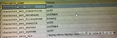 技术分享 为什么我的 Mysql 客户端字符集为 Latin1 知乎