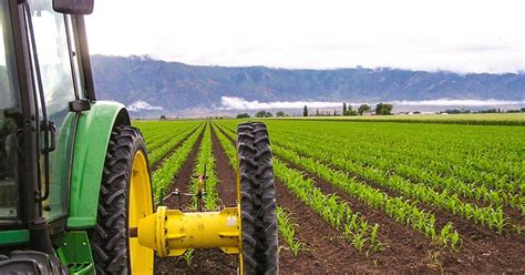 Abamectin Mode Of Action Label Insights And Toxicity