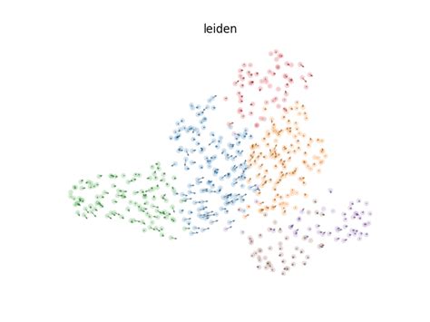 Discordance Between Arrows In Different Velocity Embeddings Issue Theislab Scvelo GitHub