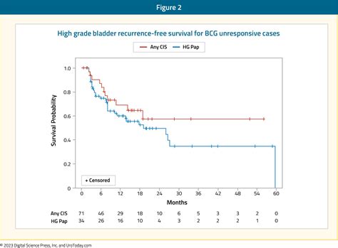 Bcg Unresponsive Non Muscle Invasive Bladder Cancer Review Of Intravesical Chemotherapy And