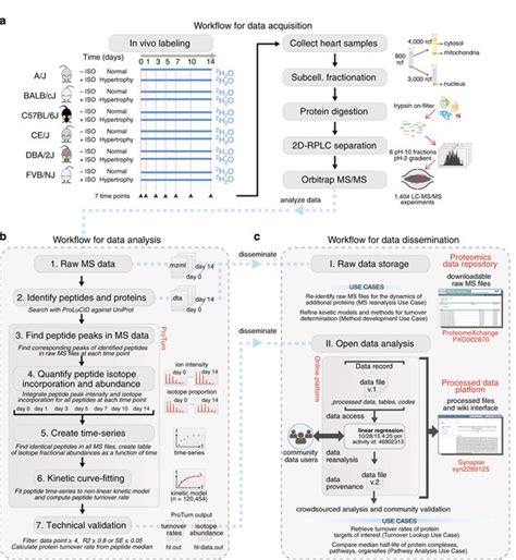 Workflows For Data Acquisition Analysis And Dissemination A