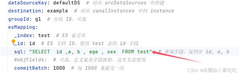 Canal Adapter运行出现空指针异常javalangruntimeexception Javalang