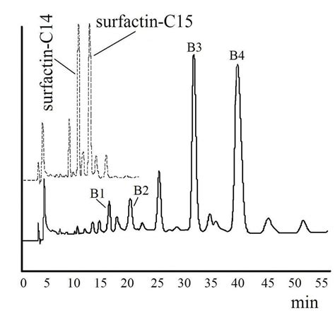 High Performance Liquid Chromatography Hplc Spectra Of Surfactin Download Scientific Diagram