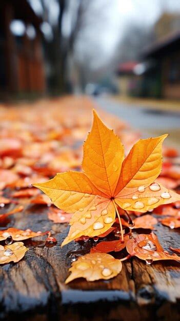 Premium Ai Image Fallingmapleleafsontreesphotouhd Wallpaper