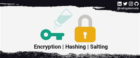 What Is The Difference Between Encryption Hashing And Salting Hackernoon