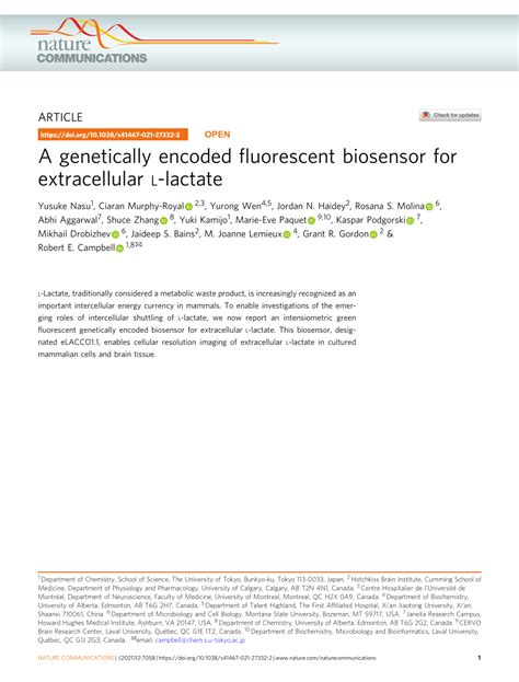 Pdf A Genetically Encoded Fluorescent Biosensor For Extracellular L Lactate