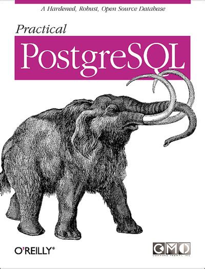 Introduction To Psql Practical Postgresql Book