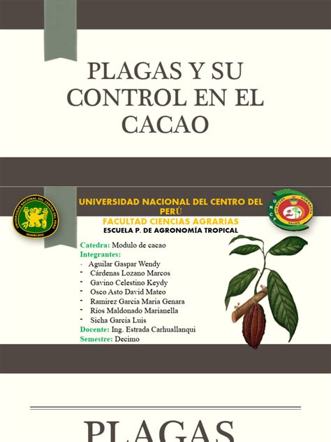 Plagas Y Su Control En El Cacao Pdf Insectos