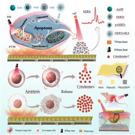 现任领导 中国科学院福建物质结构研究所