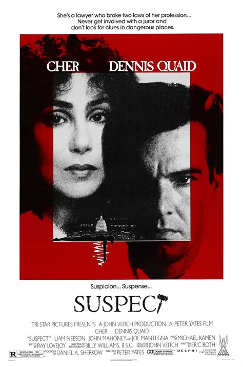 Suspect 1987 Full Movie Summary And Plot Explained