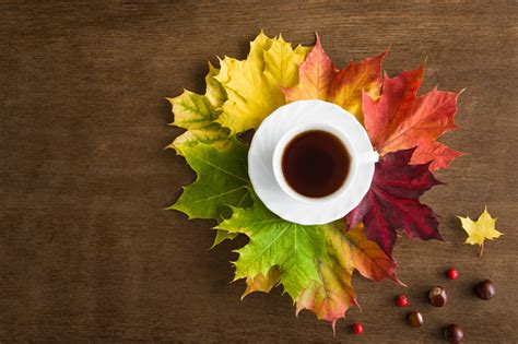 가 환영 합니다 메이플 차 또는 커피 신선한 화려한 단풍에 잔 나무 테이블에 나뭇잎 뜨거운와 온난화를 즐기고 저녁에 마시는 가 분위기와 편안한 컨셉입니다 10월에 대한 스톡