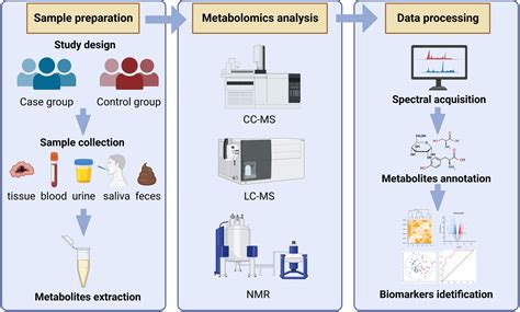 Frontiers Metabolomics In Viral Hepatitis Advances And Review