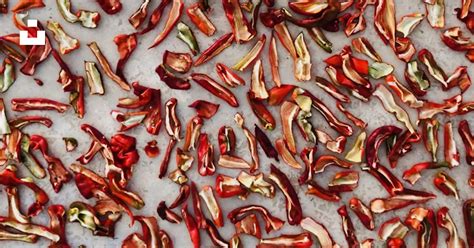 물에 빨간색과 흰색 물고기 사진 Unsplash의 무료 노스 주 이미지