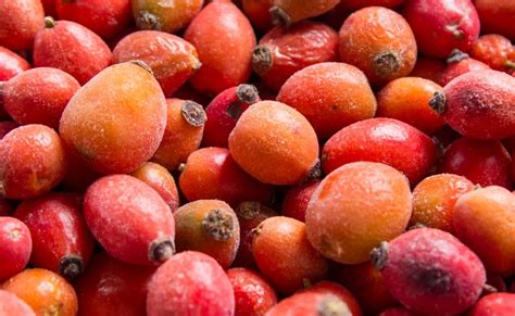 Производња шипака веома рентабилна и са лоше њиве добра зарада Удружење новинара за пољопривреду