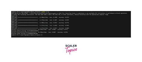 tensorflow pruning scaler topics