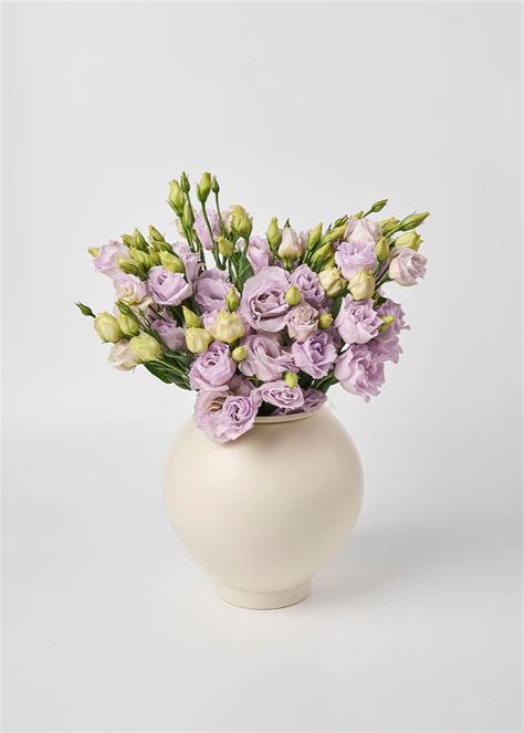 사시사철 리시안셔스 네이버 블로그