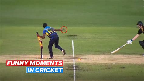 Funny Cricket Tumblr Photos