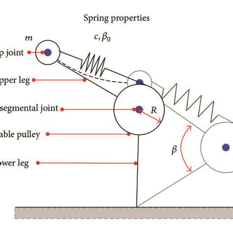 The Configuration Of The Two Segment Leg Model Download Scientific Diagram