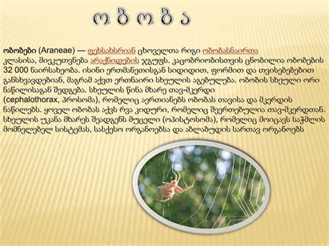 უდაბნო Ppt