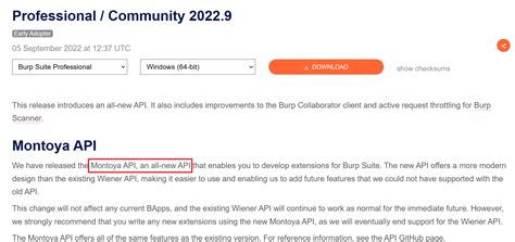 Burpsuite 插件编写入门burpsuite开发接口 Csdn博客