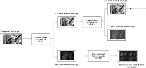 Schematic Decomposition Of Image Through Contourlet Transforms