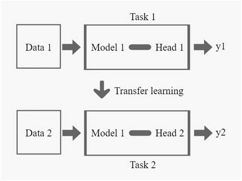 The Role Of Transfer Learning In Modern Deep Learning Applications