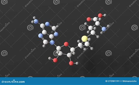 S Adenosyl Methionine Molecule Molecular Structure Cosubstrate Ball And Stick 3d Model