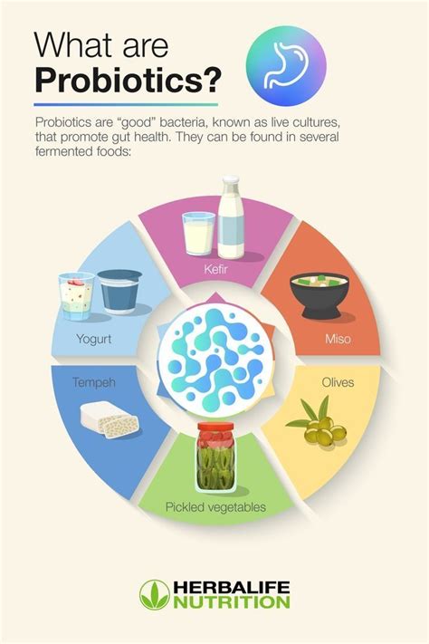 What Are Probiotics And Sources Of Probiotics Artofit