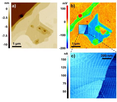 Kpfm And C Afm Reveal Insights Into Sic Surface Park Systems Posted