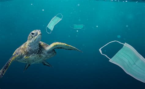 중국 일회용 마스크 환경오염 주범으로 떠올라