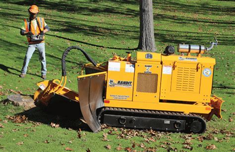 Stump Removal Service Newtown CT Top Rated Root Grinding