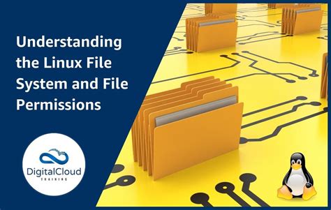 understanding the linux file system and file permissions