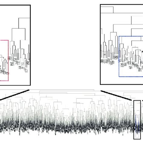 An Hierarchical Clustering Was Performed On The Matrix Of Predictors X