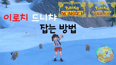 9세대 600족 드니챠 자판기 I 포켓몬스터 스칼렛 바이올렛 Youtube